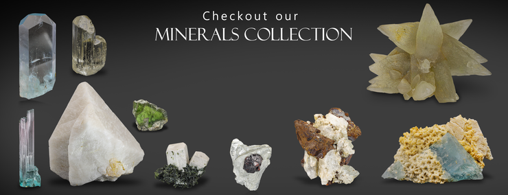 Gandhara Gems | Surround Yourself With Excellence
