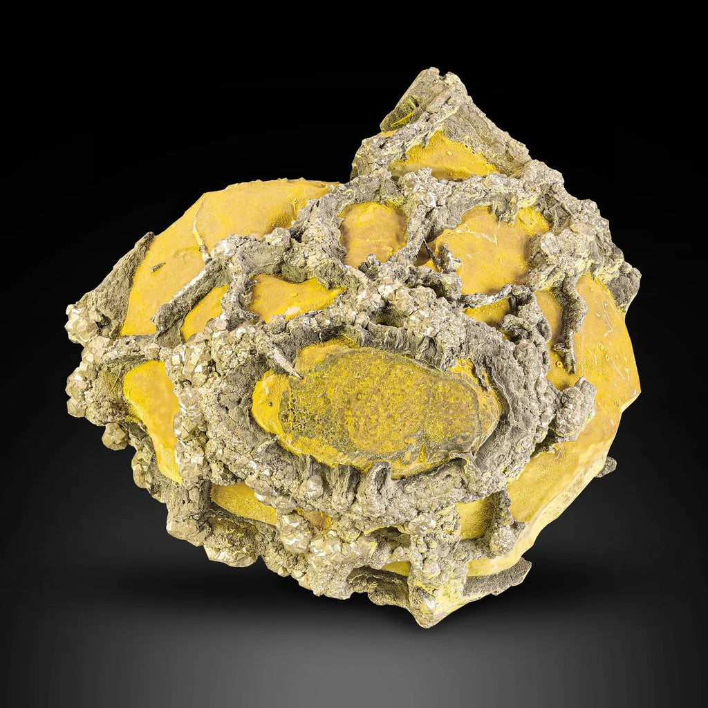 Interesting Golden Color Pyrite Crystals on Limonite Matrix from Pakis ...