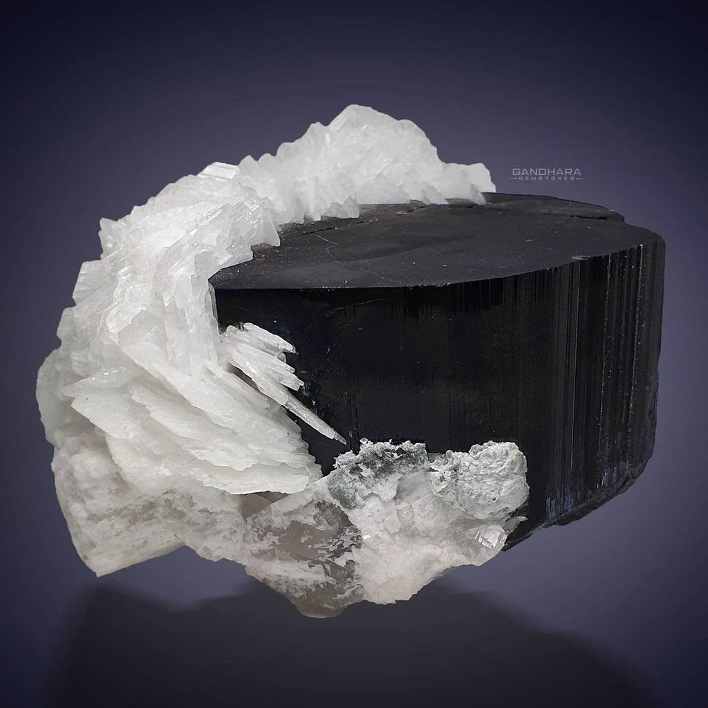 1832 Grams Lustrous Black Tourmaline with Cleavelandite Flower ...